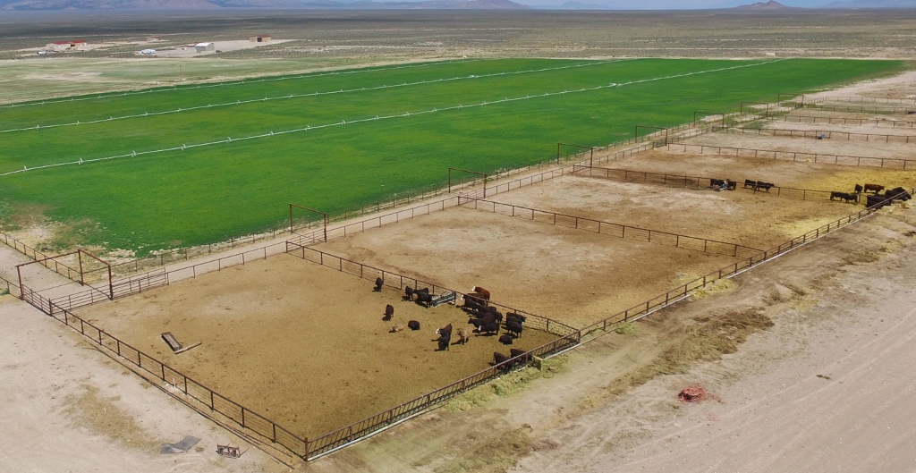 SOLD: Moon River Ranch