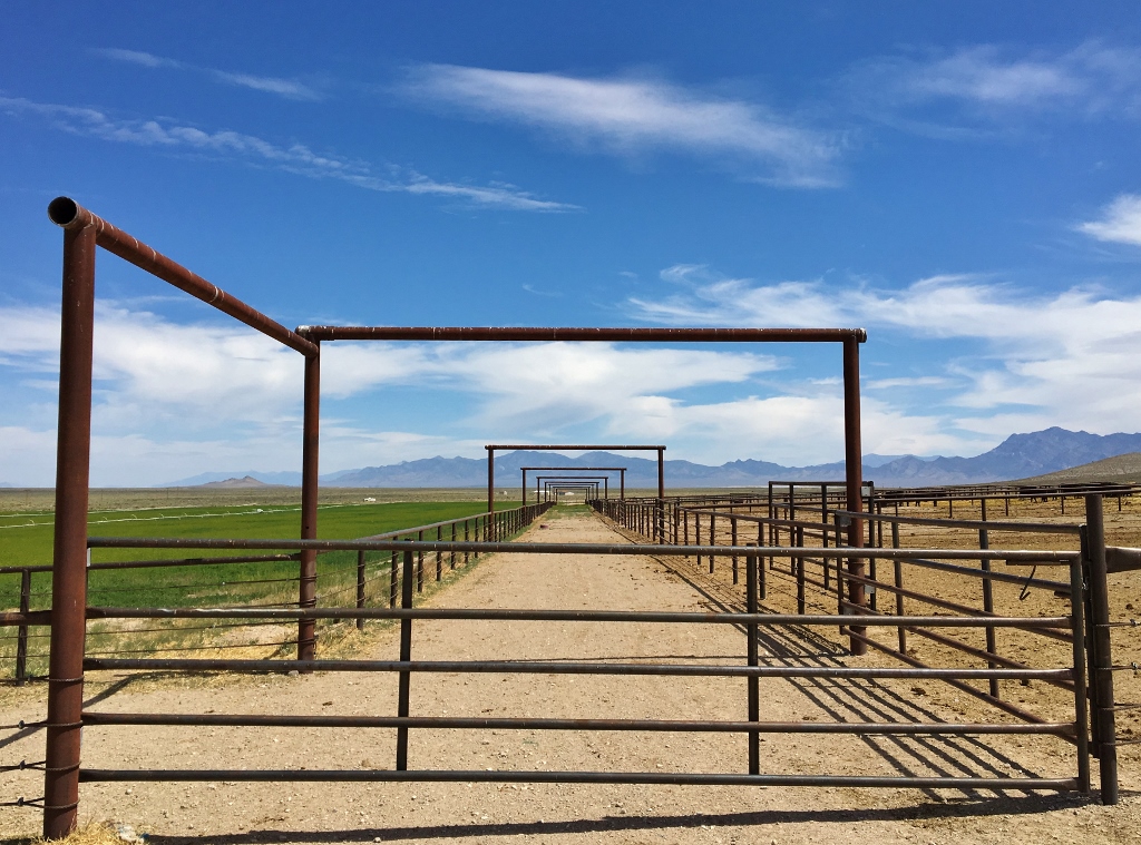 SOLD: Moon River Ranch