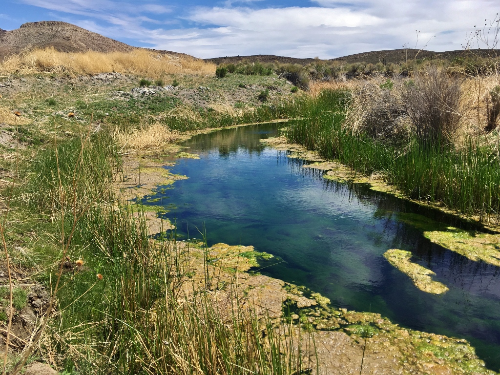 SOLD: Moon River Ranch