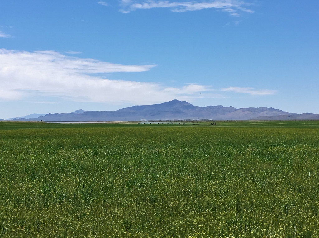 SOLD: Moon River Ranch