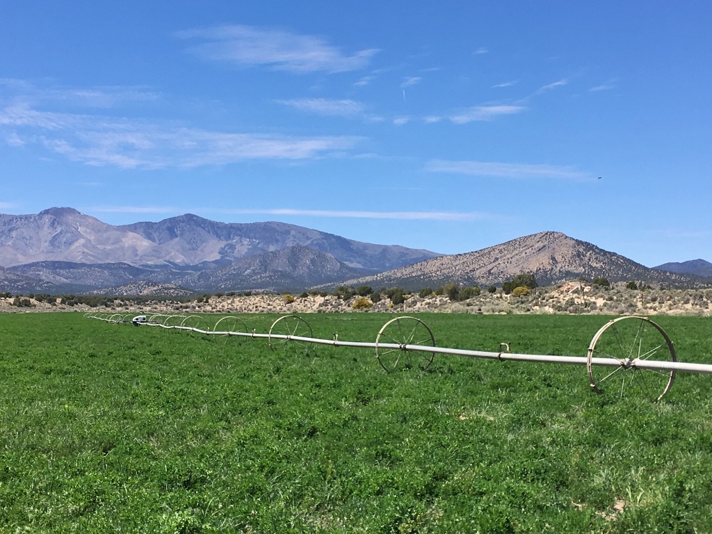 SOLD: Moon River Ranch