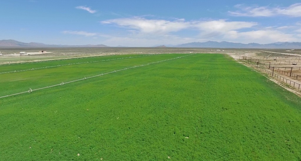 SOLD: Moon River Ranch